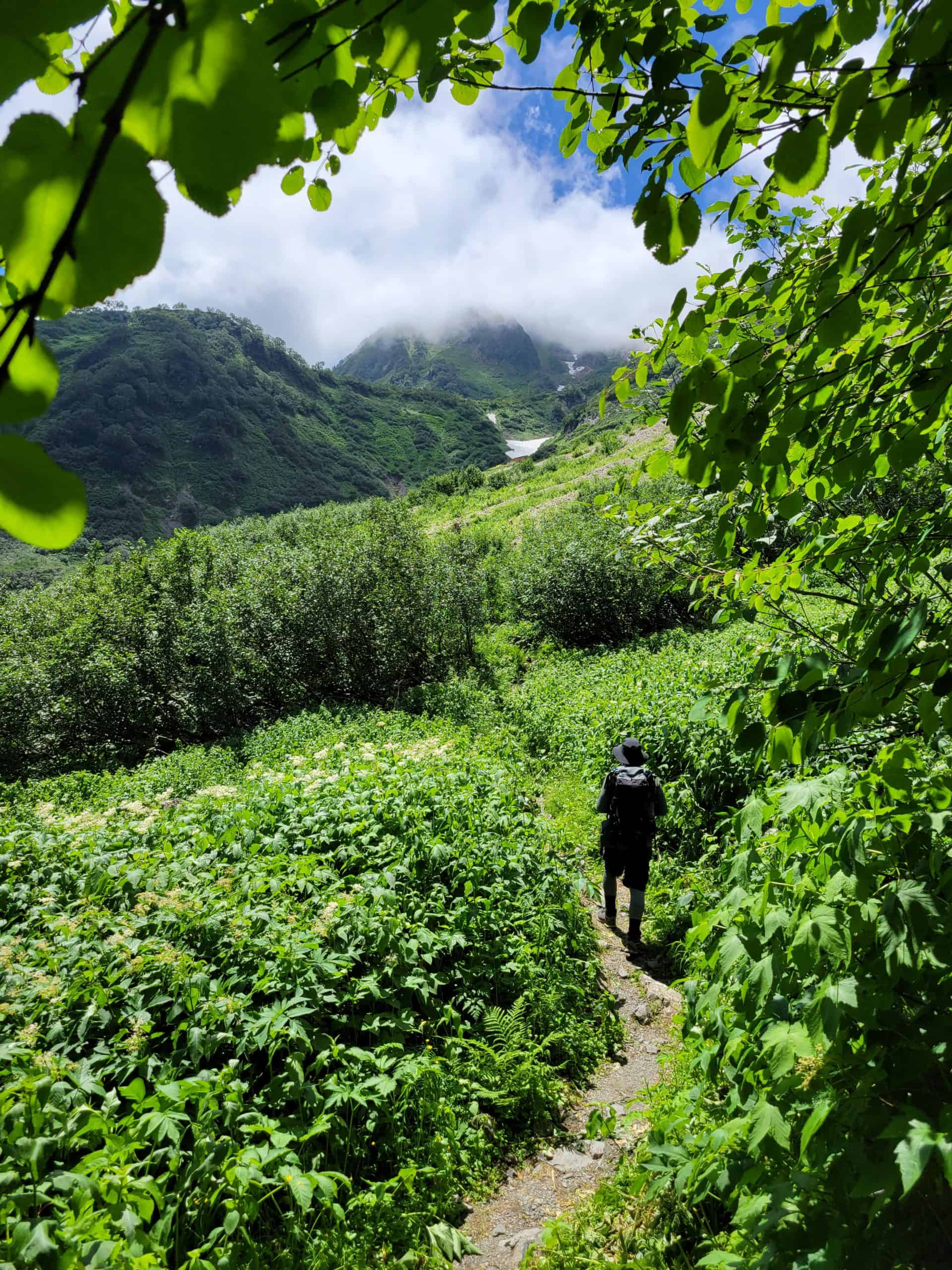 エバーグリーンガイドによるハイキング